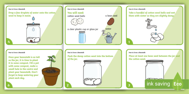 How to Grow a Beanstalk Instruction Cards (Teacher-Made)