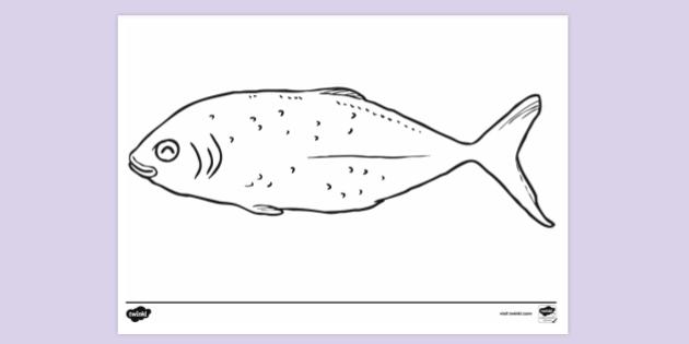 FREE! - Shiny Tail Fish Colouring Sheet | Colouring Sheets