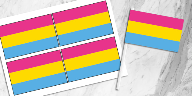 Lgbtq Pansexual Pride Handheld Flag Twinkl Party