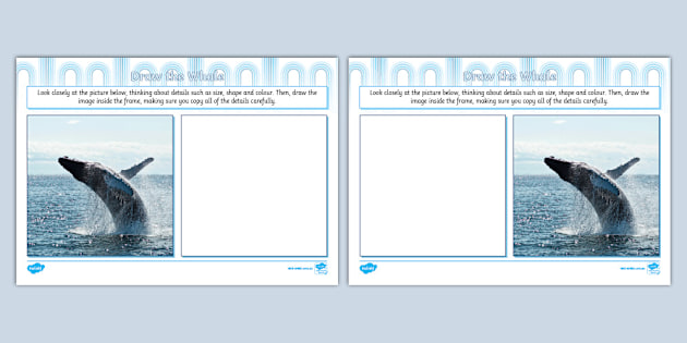 Whale Art • Twinkl.ca