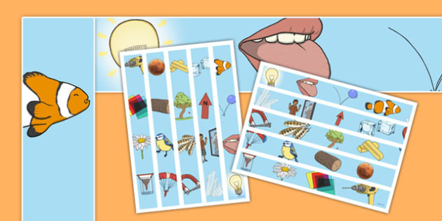 👉 Science Working Wall Display Border - Science Display Board