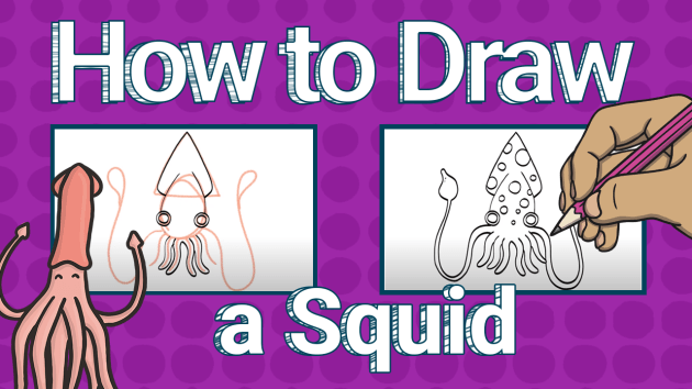How to Draw a Squid | Twinkl Kid's TV (teacher made)