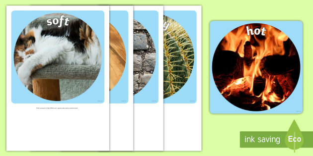 Sensory Words (Touch) Display Photo Cut-Outs (teacher made)