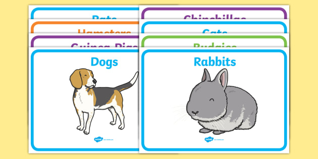 FREE! - Editable Class Group Signs (Pets) (teacher made)
