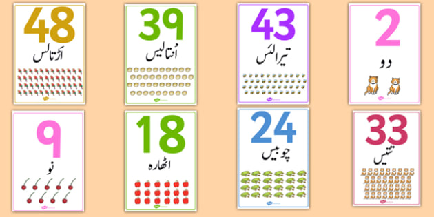 Urdu Numbers | twinkl.com.au