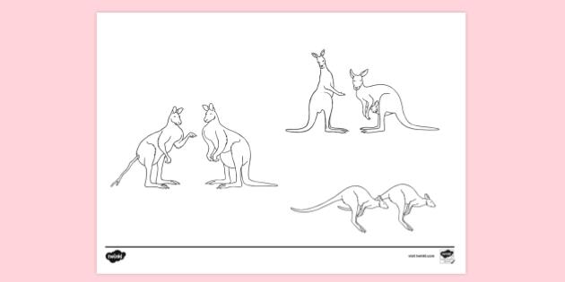 FREE! - Group of Kangaroos Colouring | Colouring Sheets