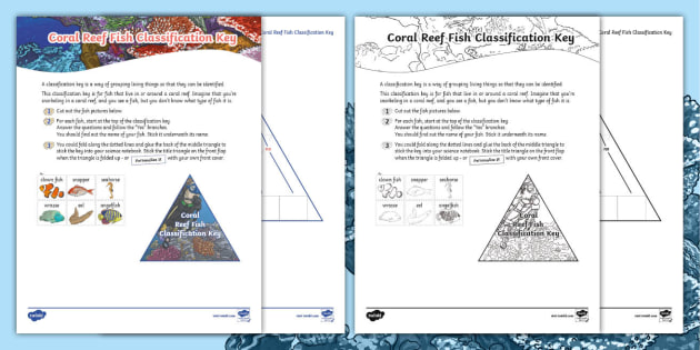 Coral Reefs Lapbook: Fish Classification Key