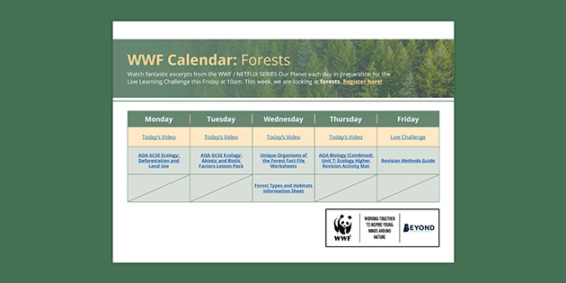 FREE! - WWF Calendar Week 3: Forests (teacher made)