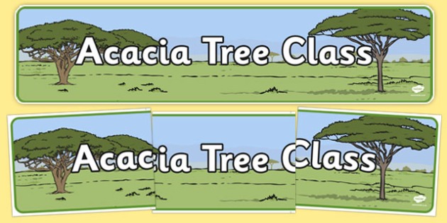 FREE! - Acacia Themed Classroom Display BannerFREE! - Acacia Themed ...