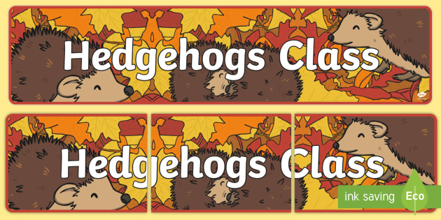 👉 Hedgehogs Class Display Banner (teacher made)