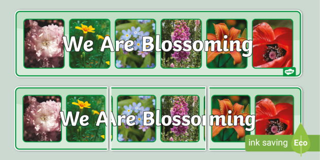 We Are Blossoming Display Banner (teacher made)
