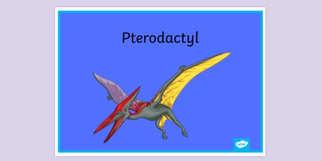 FREE! - Pterodactyl Poster Printable | Display | Twinkl Primary