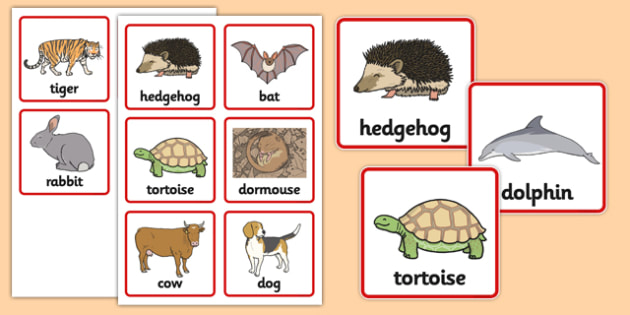 hibernating animals list