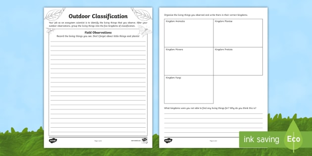 Outdoor Classification Activity