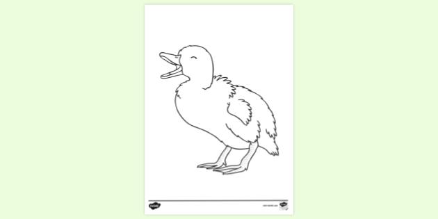 FREE! - Duckling Quacking Colouring Sheet | Colouring Sheets