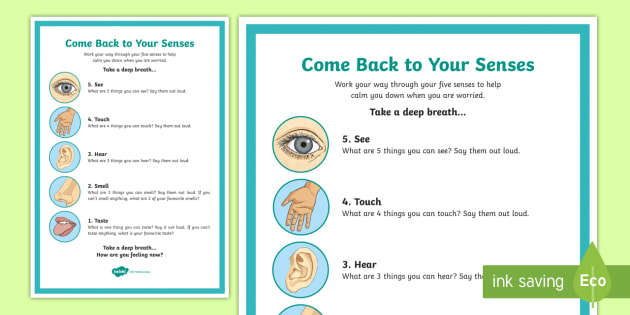 Come to Your Senses Display Poster (teacher made)