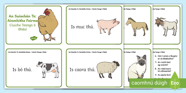 The Farm Hot Seat Oral Language Role-Play Language Cards Gaeilge
