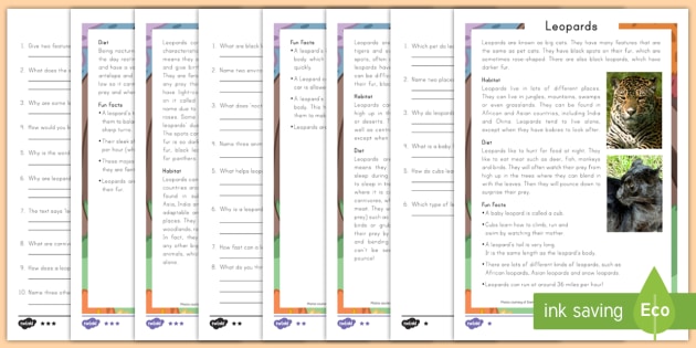 * NEW * Leopards Differentiated Reading Comprehension Activity - Leopards