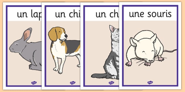 French Pets Display Posters