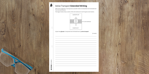 Active Transport Extended Response Activity | Beyond