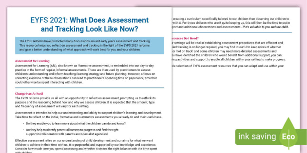 FREE! - EYFS Assessment and Tracking Adult Guidance Sheet