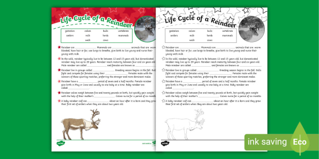 Christmas in Canada Life Cycle of a Reindeer Cloze Activity
