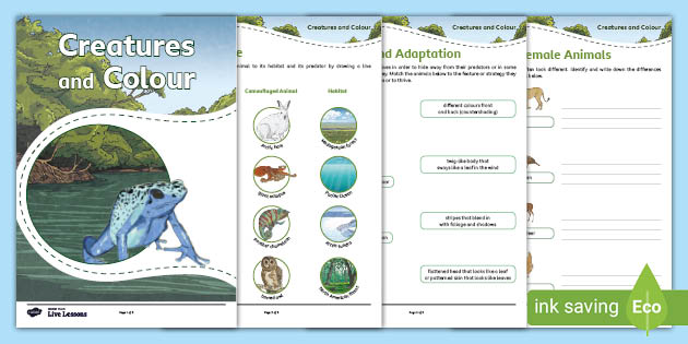 FREE! - BBC Teach Primary Science: Creatures and Colour Age Group 7-9 ...