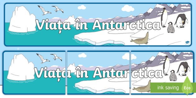 Viața în Antarctica - Banner (teacher made)