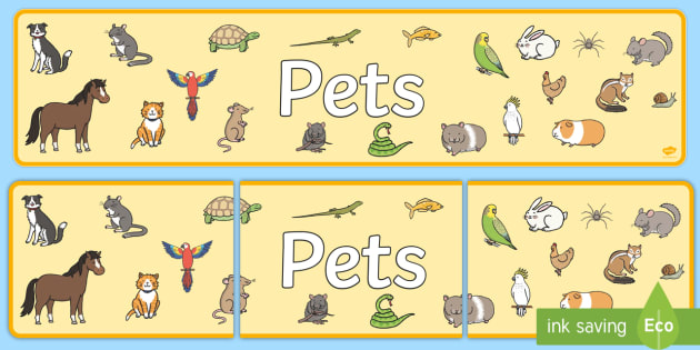 Pets Display Banner