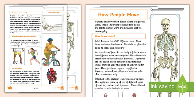 How People Move, Science, 3rd & 4th Classes, 5th & 6th Classes