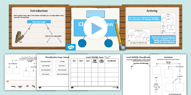 KS2 Classification Keys PowerPoint Teaching Pack