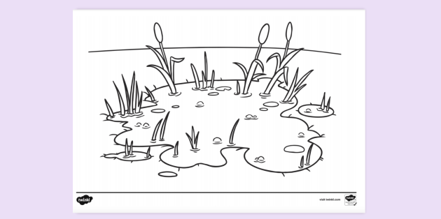 FREE! - Bog Colouring Sheet | Colouring Sheets