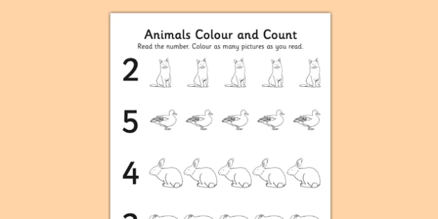 Animals Themed Count and Colour Sheet (teacher made)