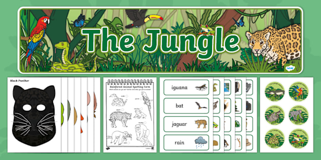 Jungle Role-Plays | twinkl.ca