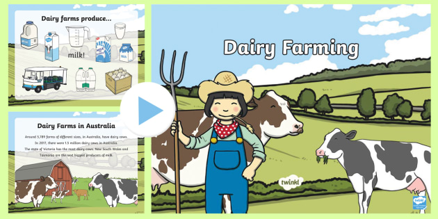 Australian Dairy Farming PowerPoint (teacher made)