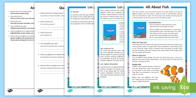 Fish Comprehension Worksheet / Worksheet English/French - Fish ...