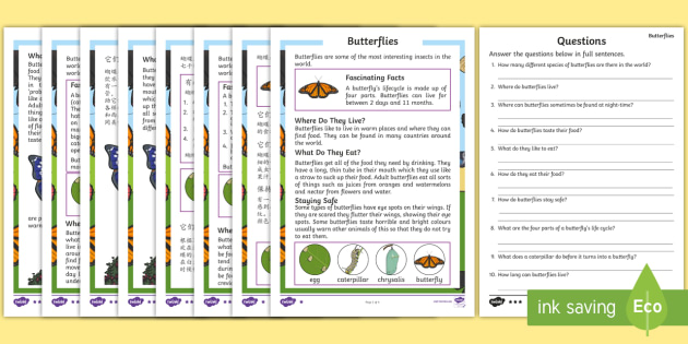 Butterfly Reading Comprehension Activity Pack English/Mandarin Chinese