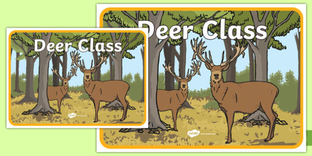 Deer Class Display Poster