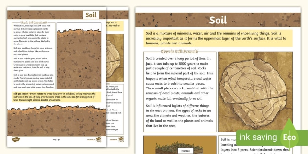 Soil Fact File (teacher made)