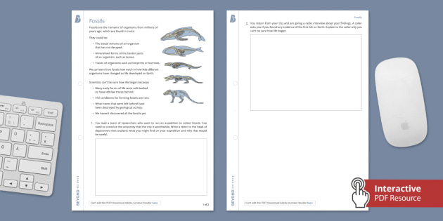 Fossils Activities | twinkl.co.uk