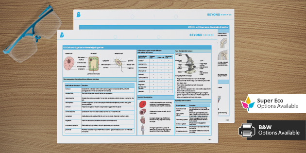 Cells and Organisation Knowledge Organiser | Beyond