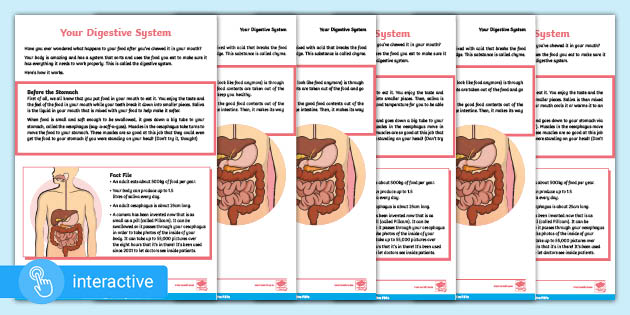 Interactive PDF: The Digestive System Differentiated Reading Comprehension