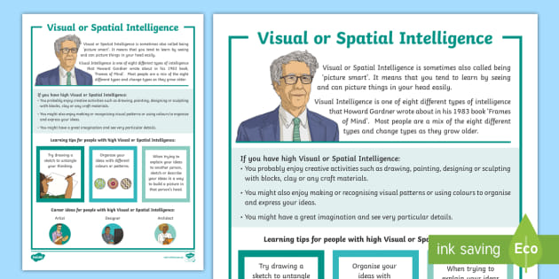 Visual Intelligence Fact File (teacher made)