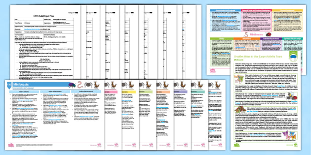 EYFS Ages 3-4 Minibeasts Bumper Planning Pack (teacher made)