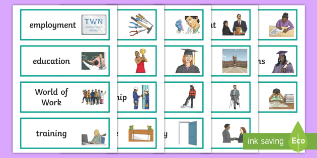 Developing the Young Workforce CfE Second Level Flashcards