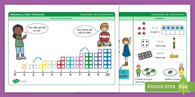 Organizador Visual: Números y Valor Posicional