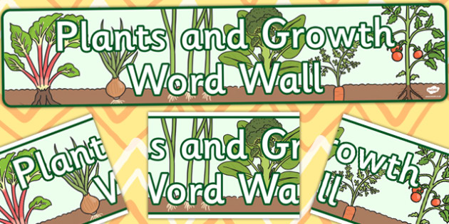 Plant and Growth Word Wall Display Banner (teacher made)