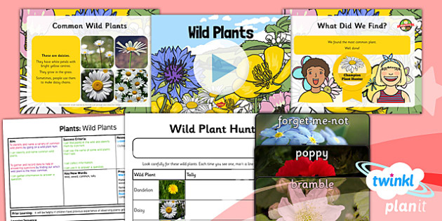 Science: Plants: Wild Plants Year 1 Lesson Pack 2