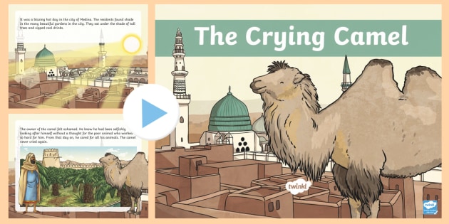 The Crying Camel PowerPoint (teacher made)
