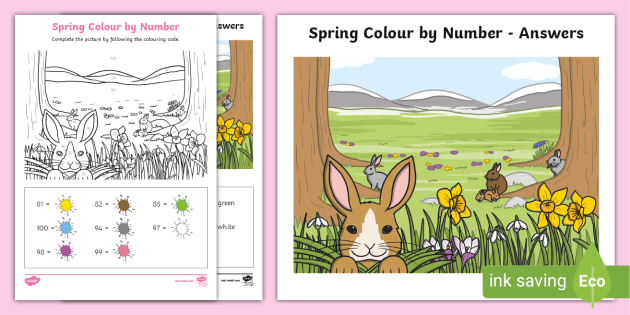 Spring Colour by Number Activity Sheet (teacher made)